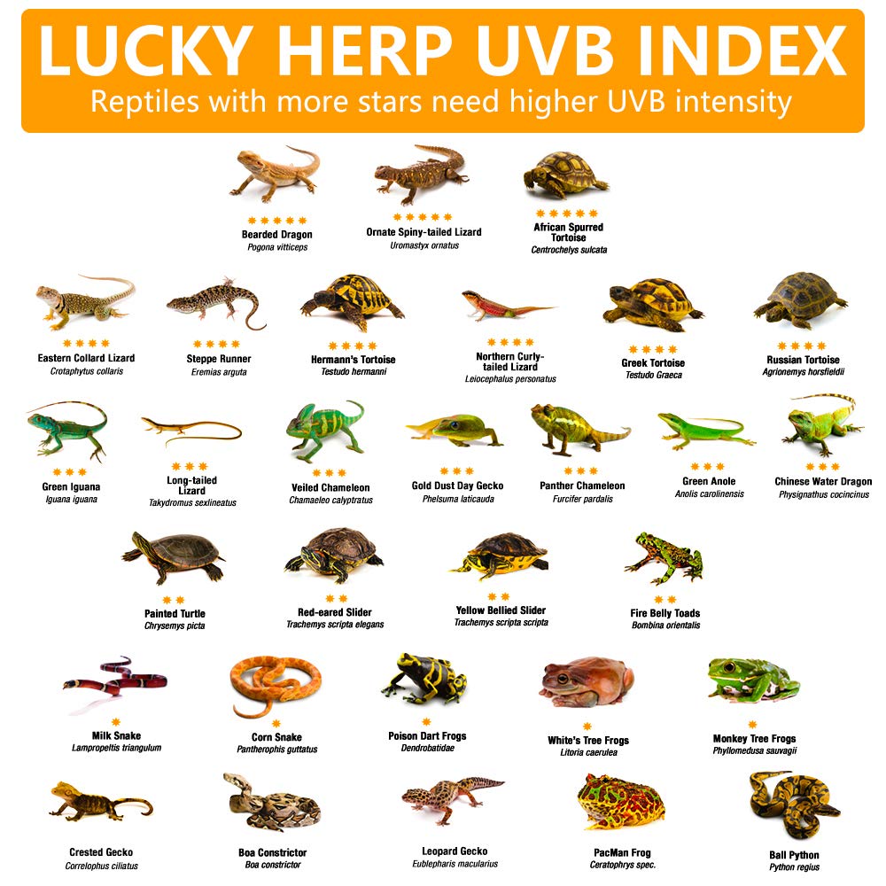 LUCKY HERP 80 Watt UVA+UVB Vapor Heat Lamp Bulb, High Intensity Self-Ballasted Heat Basking Lamp/Bulb/Light for Reptile and Amphibian, Sun Lamp for Bearded Dragon Lizard Turtle