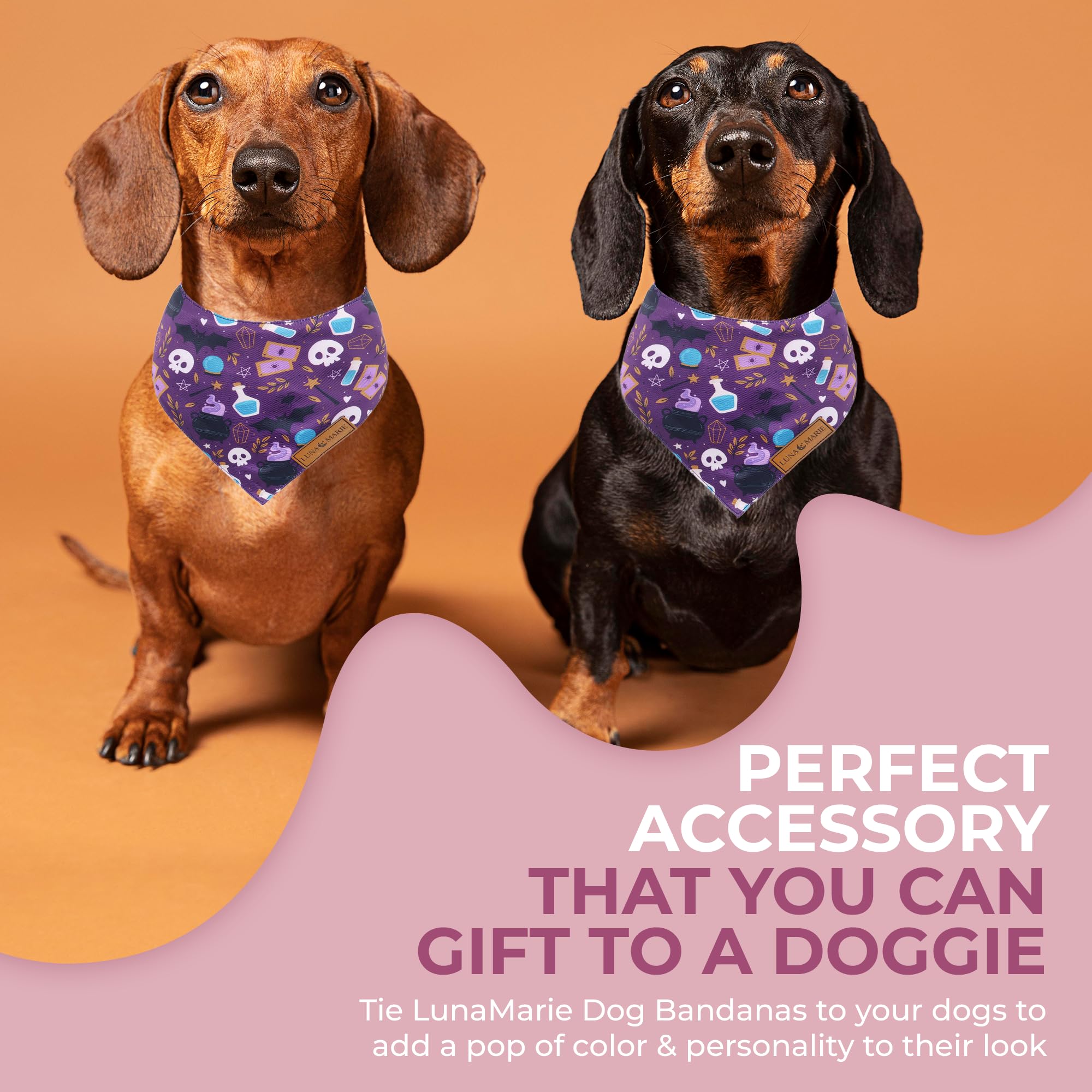 LunaMarie - Luxury Pet Birthday Bandanas -Premium & Silky Poly Fabric | 100% Handmade | Custom Shape Dual Layered (Bewitched, Large)