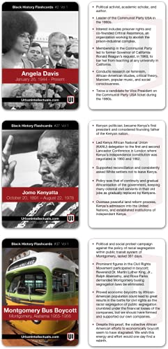 Urban Intellectuals Black History Flashcards - Volume 3 Black Heroes STEM and The Arts Version Trivia Playing Cards Educational Activity for Adults Classroom