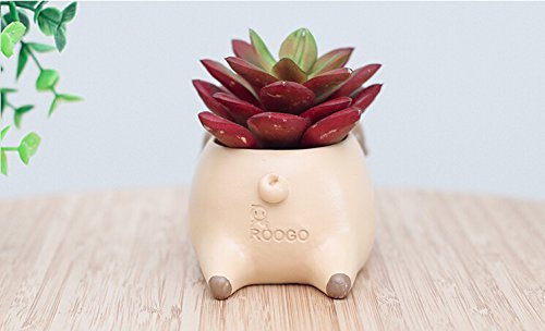 Succulent Pots,Cute Animal Pug Dog Shaped Air Plant Holder Flower Planters-Plants Not in Included