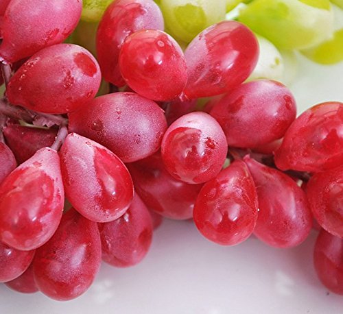 URTop 4 Bunchs of Artificial Black,Red, Green and Purple Large 85pcs Grapes Plastic Fake Decorative Fruit Food Lifelike Home Wedding Party Garden Decor Mini Simulation Fruit Photography Props