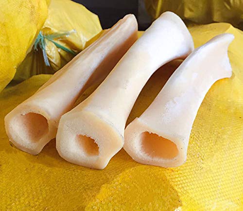 Vencetmat 6Pcs Blank & Uncut Guitar Nut White Color Made of Real Bone 52x6x10mm for Electric & Acoustic & Classical & Cigar Guitar, Mandolin, Banjo, Ukulele Part Replacement