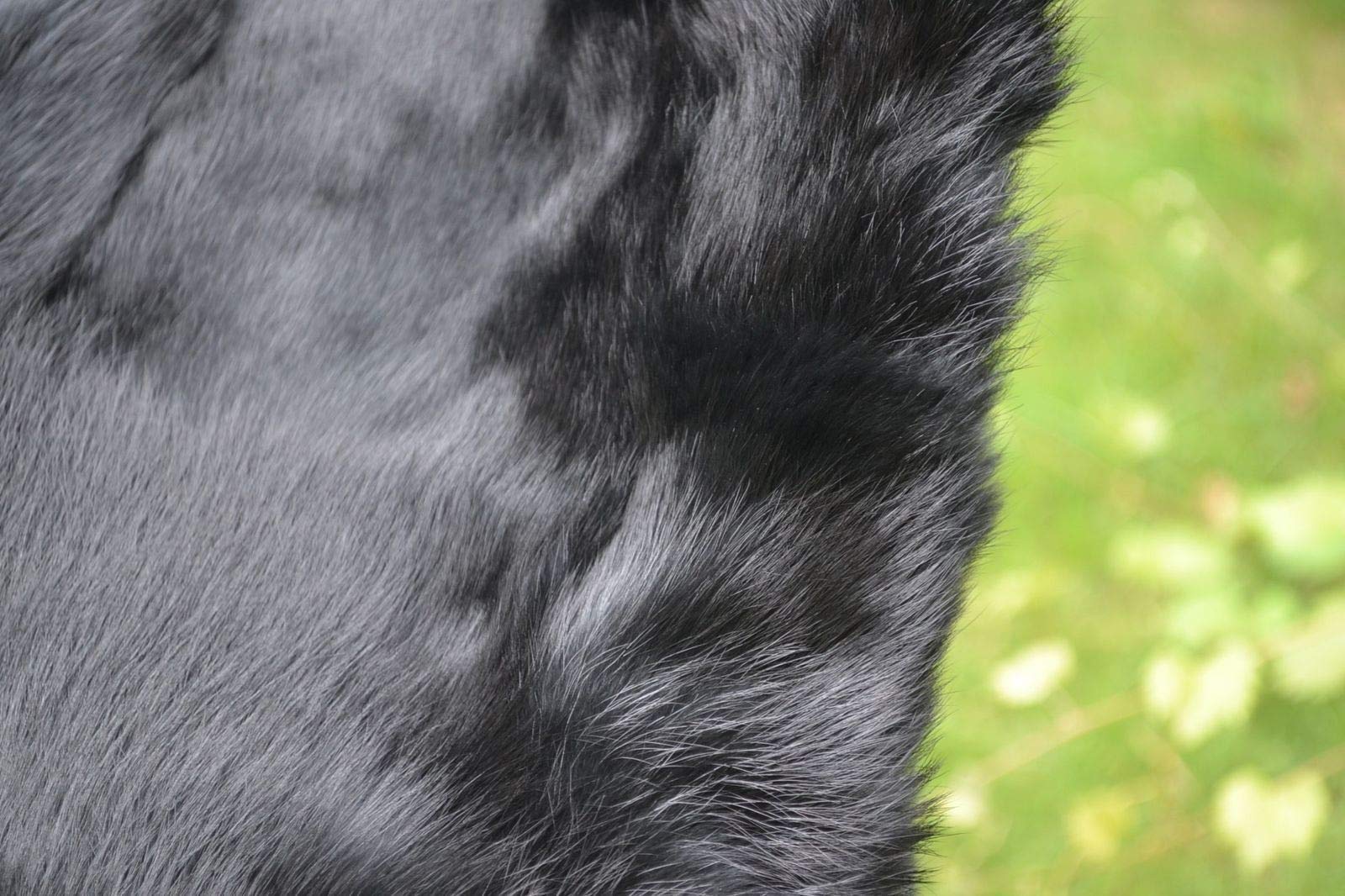 Natural Tanned Assorted Rabbit Pelts Rabbit Fur Hide (10" by 12" Rabbit Pelt with Sewing Quality Leather) (Natural Black)