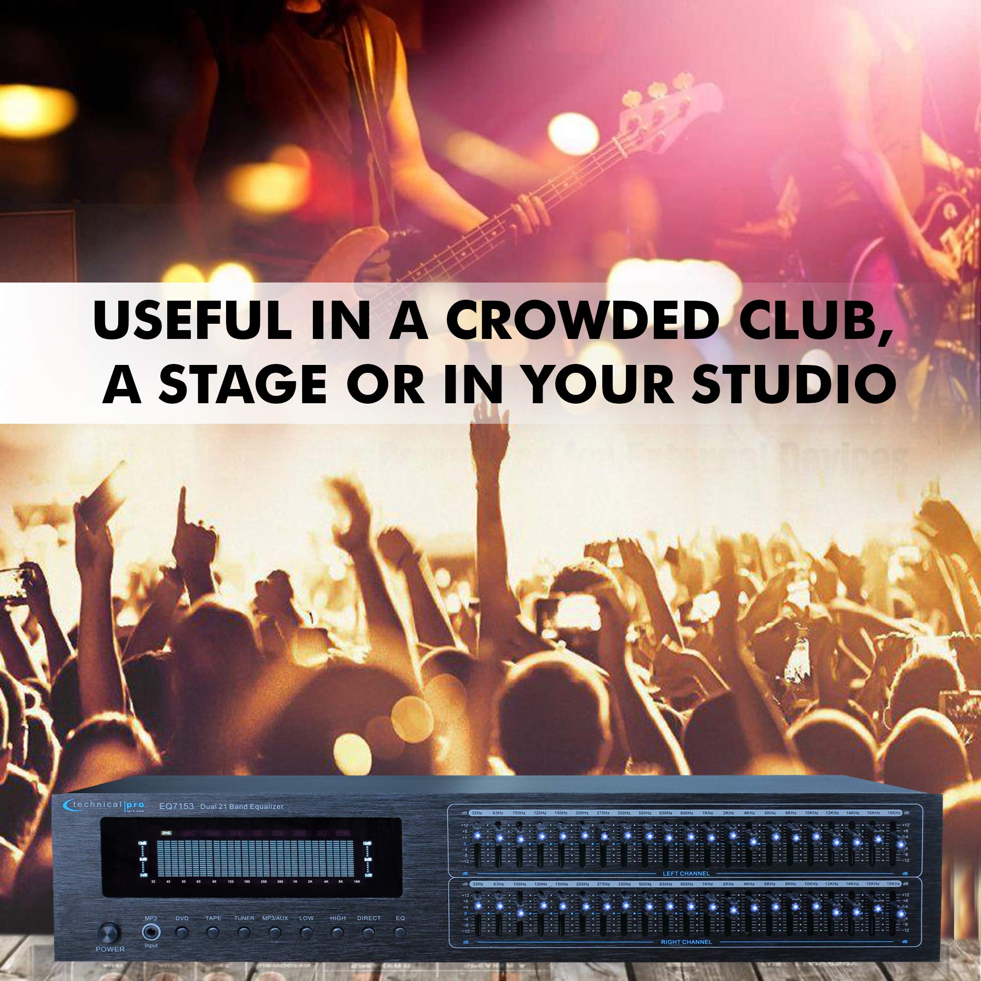 Technical Pro Dual 21 Band Professional Stereo Equalizer with Individual LED Indicators