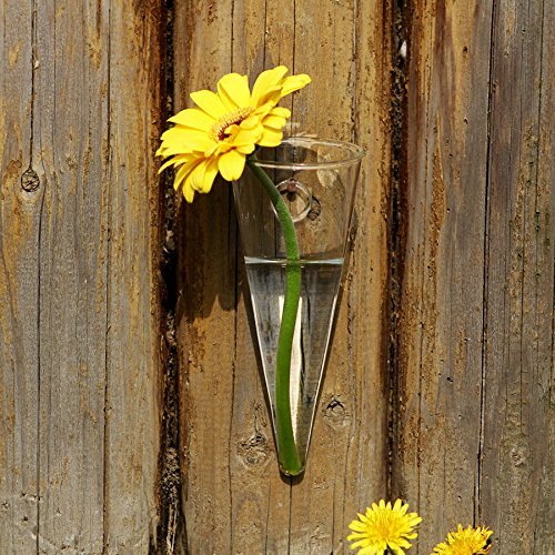 Siyaglass Hanging Clear Glass Taper Wall Mount Vase Air Planrt Flower Terrarium for Home Garden Decor Pack of 2