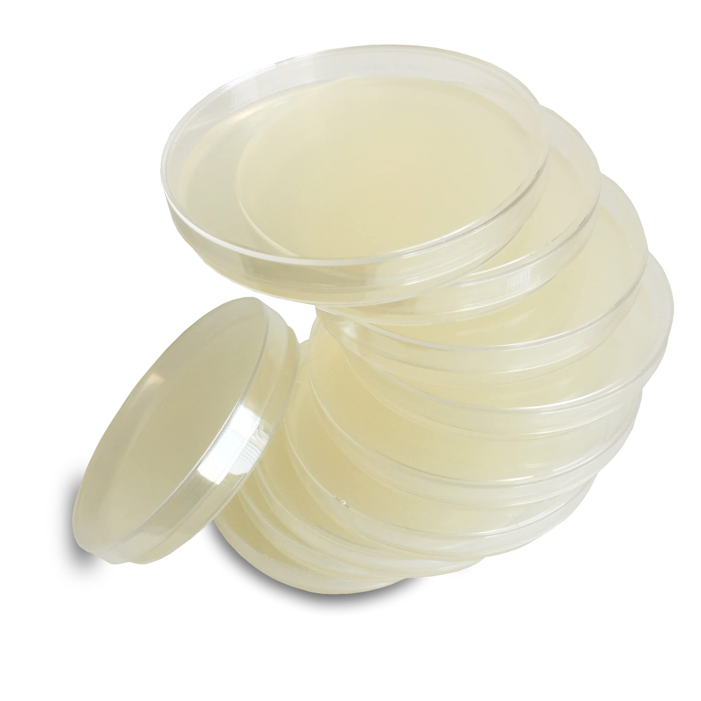 Nutrient Agar Plates by Evviva Sciences, Prepoured Nutrient Agar Petri Dishes for Science Fair Projects & Microbiology Experiment, Helps Microorganisms Thrive - Swabs Not Included
