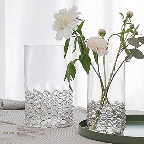 Creative Hydroponic Transparent Flower Metal Grid Design Home Decoration Customer Service Team Glass (Size : A) (B)