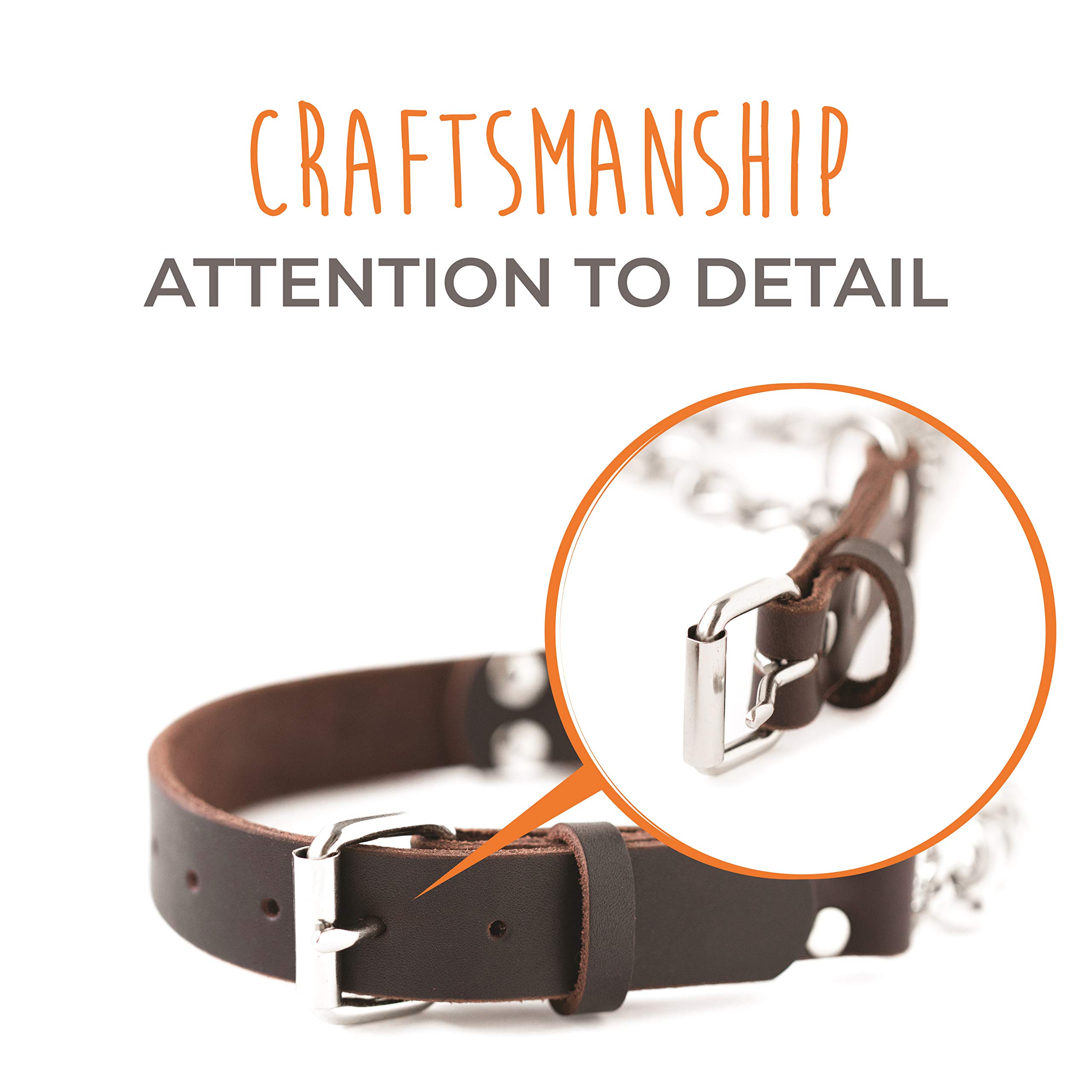 Mighty Paw Martingale Dog Collar - No Pull Design - Stainless Steel Chain - Limited Chain Cinch Training - Dog Collar Leather Martingale - Brown Leather Martingale Training Collar - Large Size Collar