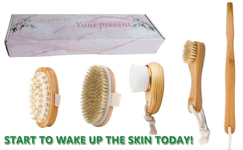 Premium Dry Brushing Body Brush Set,Exfoliating body scrubber with long handle, Natural Boar Bristle Body Brush,Face Cleansing Brush,body brush set for lymphatic drainage,Great Gift for A Glowing Skin