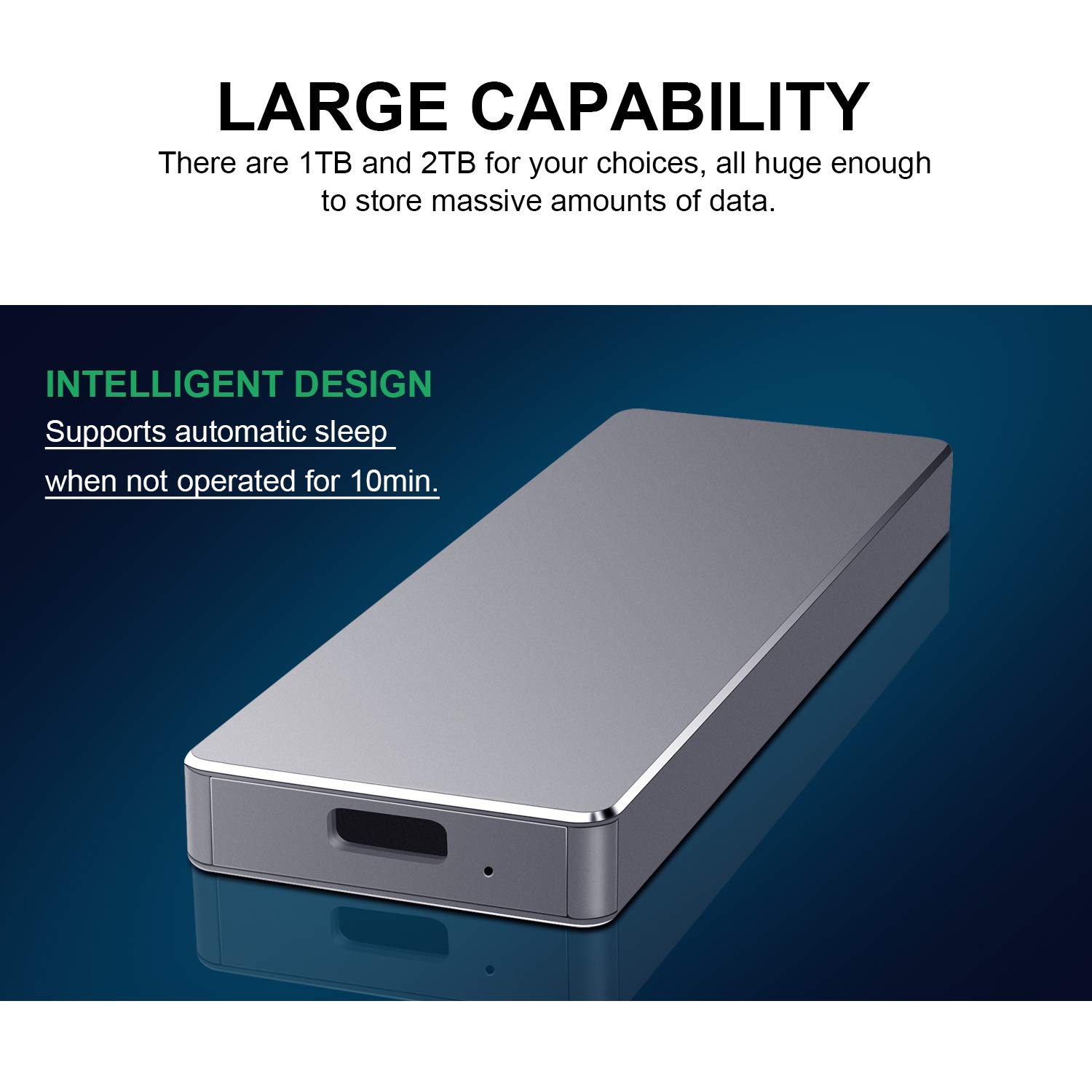 External Hard Drive 2TB Type C USB3.1 for PC, Mac, Wii U, Xbox (2TB, Silver)