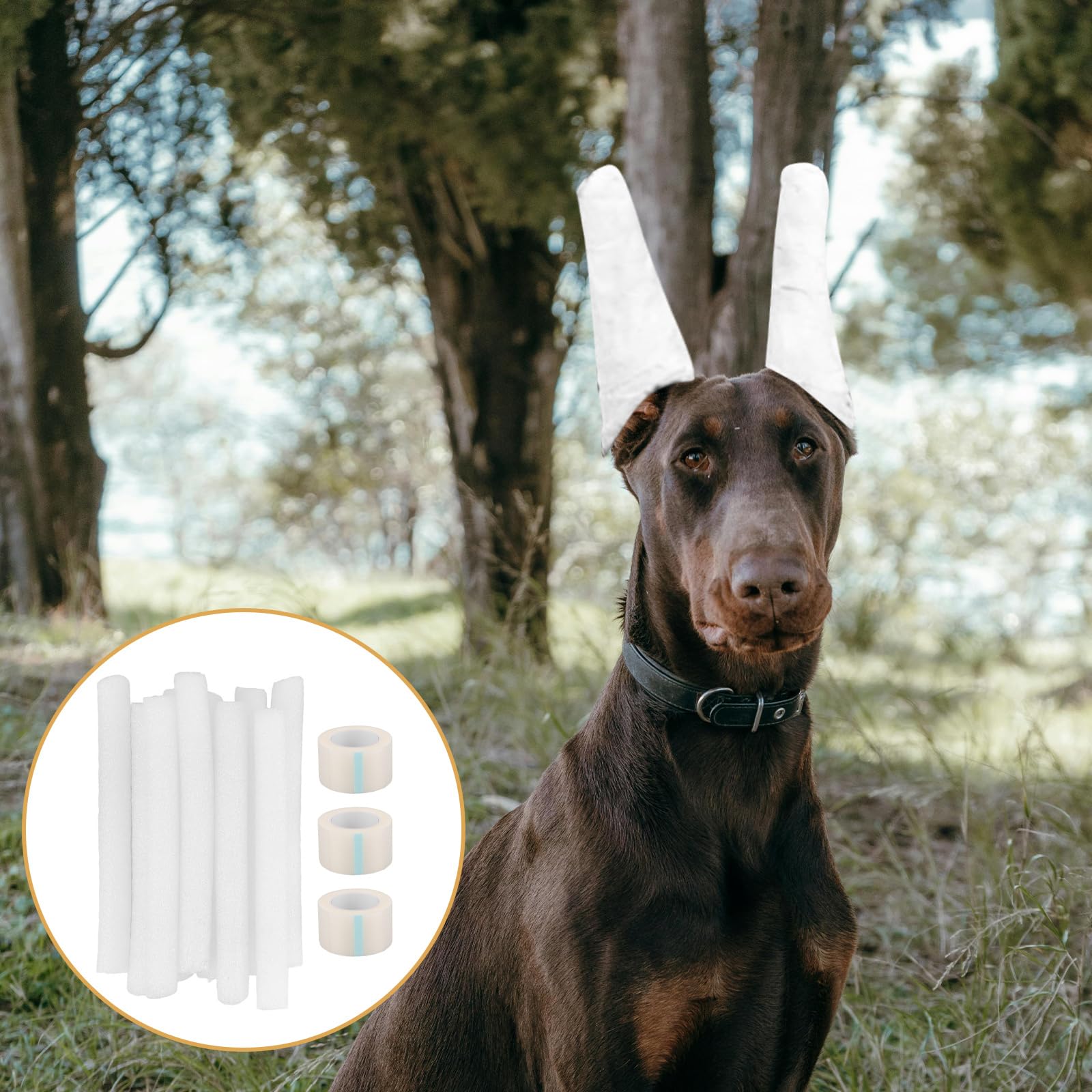 Ipetboom 10pcs Doberman Dog Ear Posting Kit, Dog Ear Stand Up Support Tool Pet Dog Ear Stand Sticker Dog Ear Fixed Correction Vertical Holder for Doberman Police Dogs