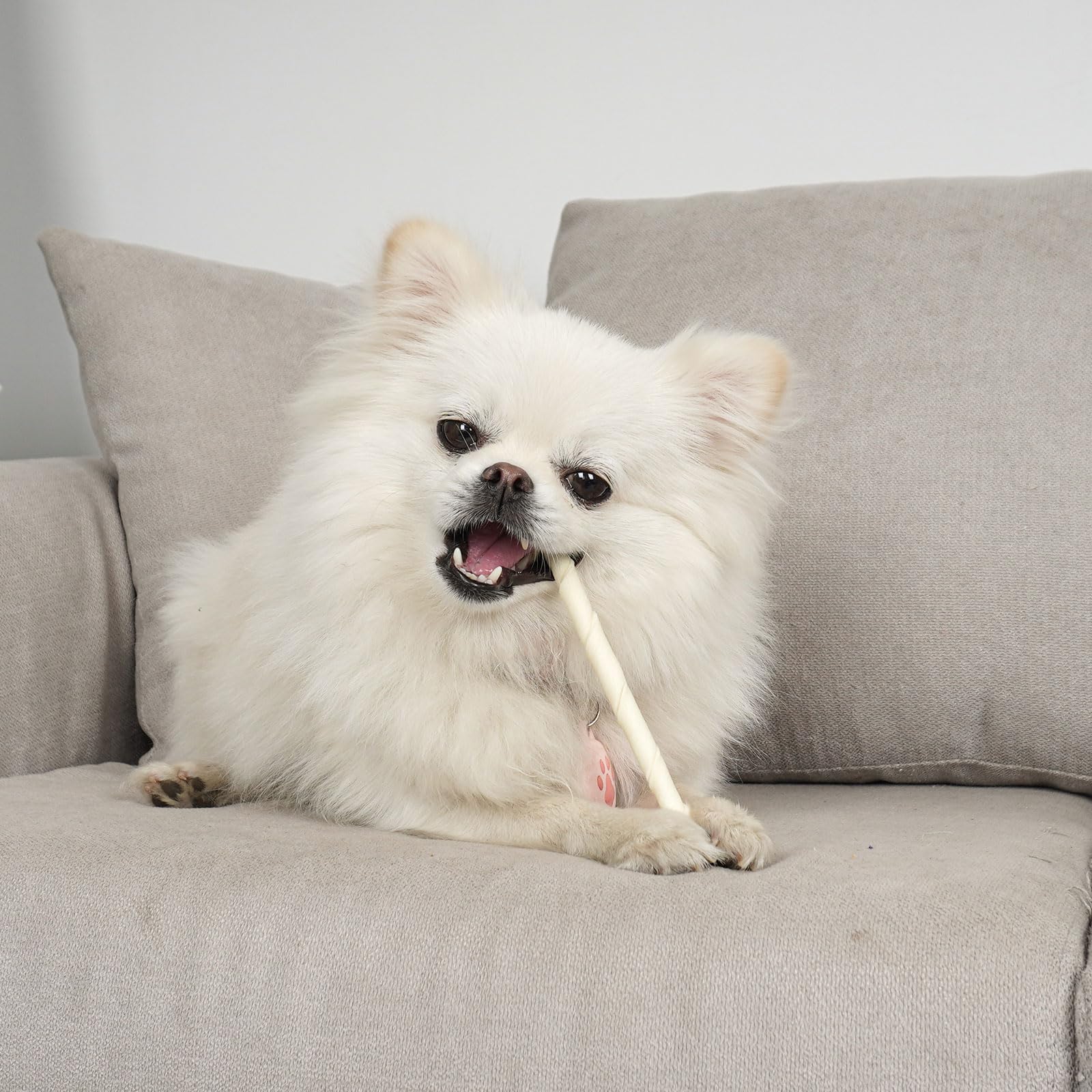 MON2SUN Dog Rawhide Twist Sticks Natural 5 Inch Thin Sticks Rawhide Chews Dog Treats for Puppy and Small Dogs 60 Count, 12.7oz