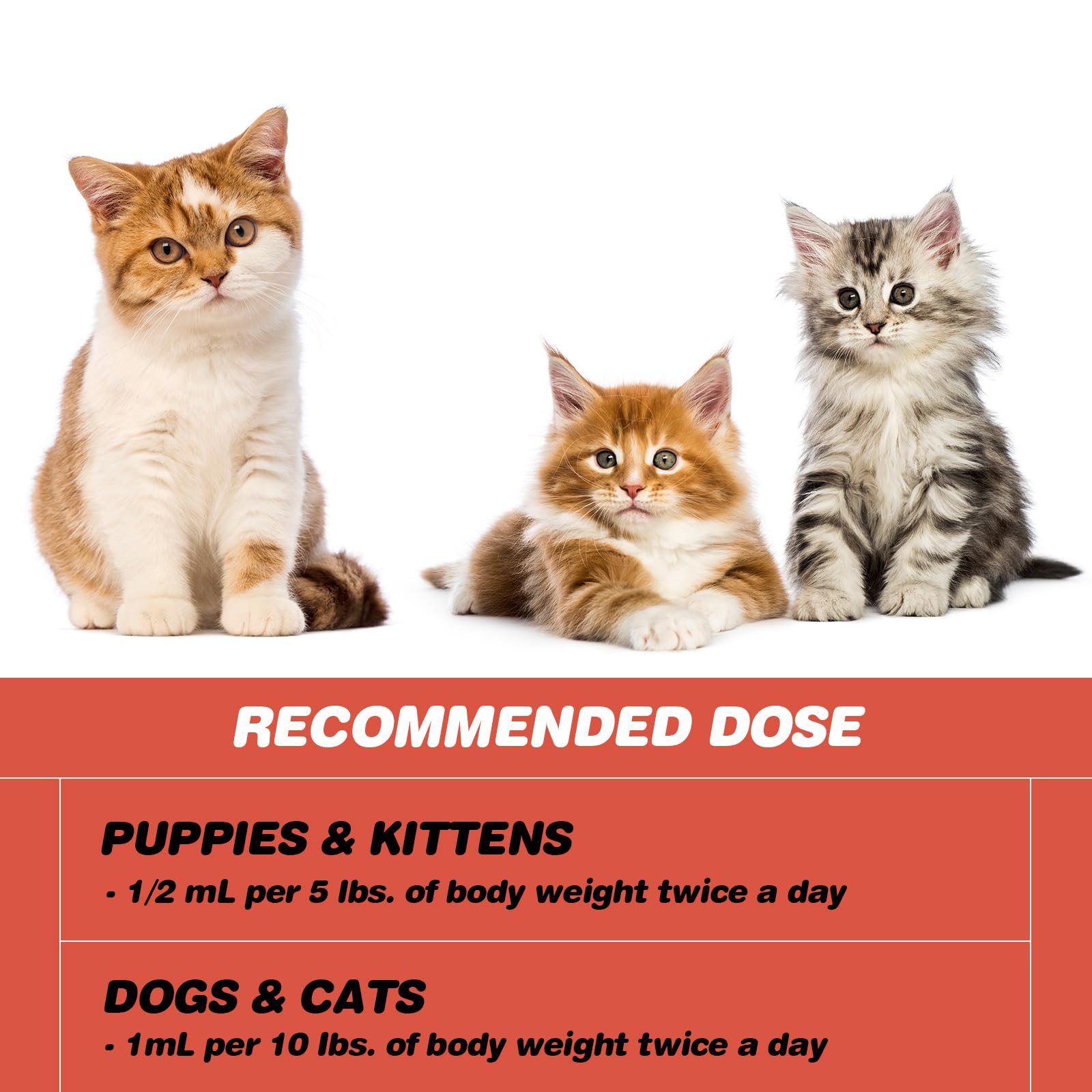 Iron Supplements for Cats-Liquid Iron Supplement for Anemia Cat-Polysaccharide Iron Complex Supports for Anemia in Cats Blood Health and Addresses Nutritional Deficiencies-Cat Care Essentials