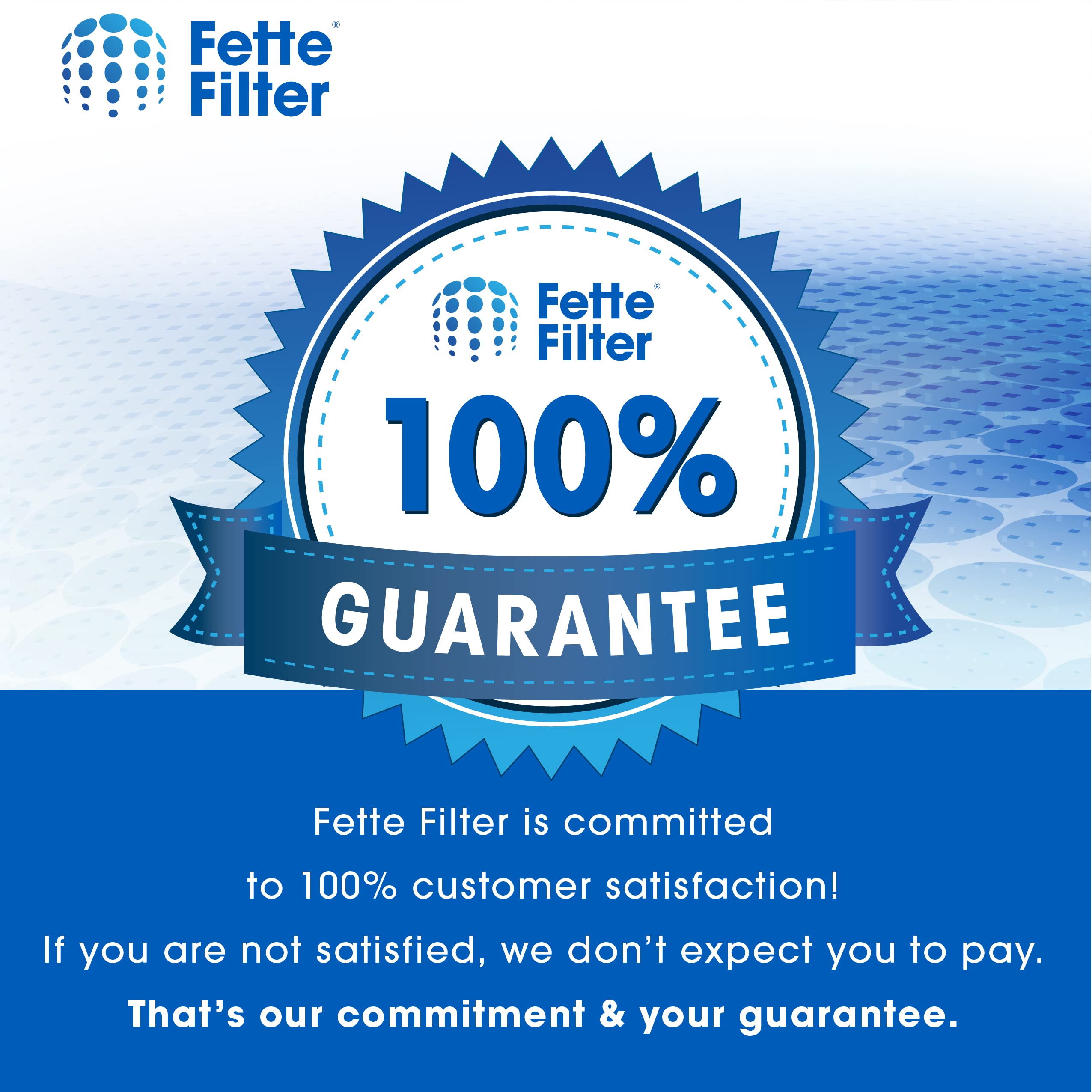 Fette Filter - D480 Premium True Hepa H13 Replacement Filter D4 Compatible with Winix D480 Air Purifier Part Number 1712-0100-02, 1712010002. 2 True Hepa and 8 Activated Carbon Filter