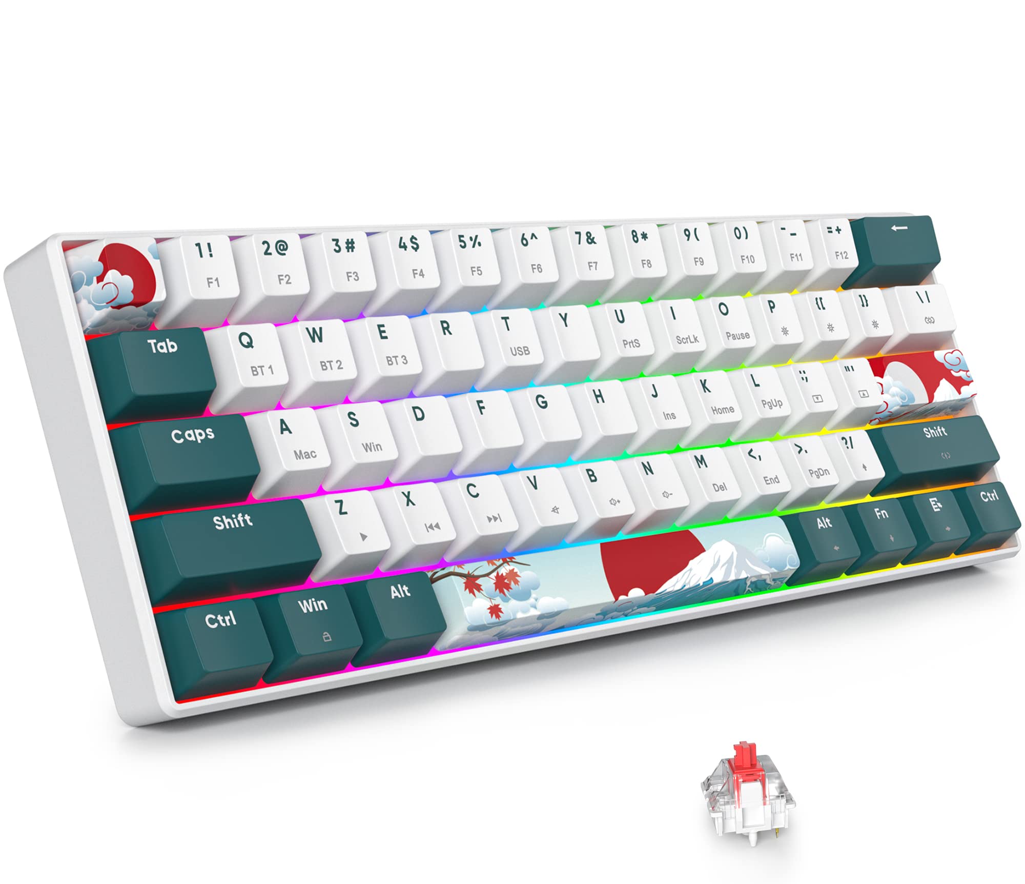Fogruaden 60% Wireless Mechanical Keyboard,USB-C Wired/Bluetooth Keyboard with RGB Backlit for Win/Mac, 61 Keys NKRO Gaming Keyboard,Compact Mini 60 Percent Keyboard(Outemu Blue Switch,Miami)