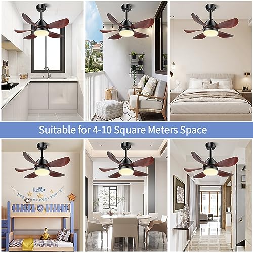 CAIROCK Ceiling Fans with Lights Remote and App Control, 27¡± Modern Ceiling Fan for Living Room Bedroom Kitchen Dining Room, Adjustable Color Temperature, Black…