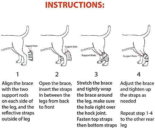 NeoAlly Super Supportive Dog Braces for Rear Leg and Hock Joint with Dual Metal Spring Strips Stabilize Canine hind Legs from Wound, Injury, Sprains, Arthritis (XL Pair)