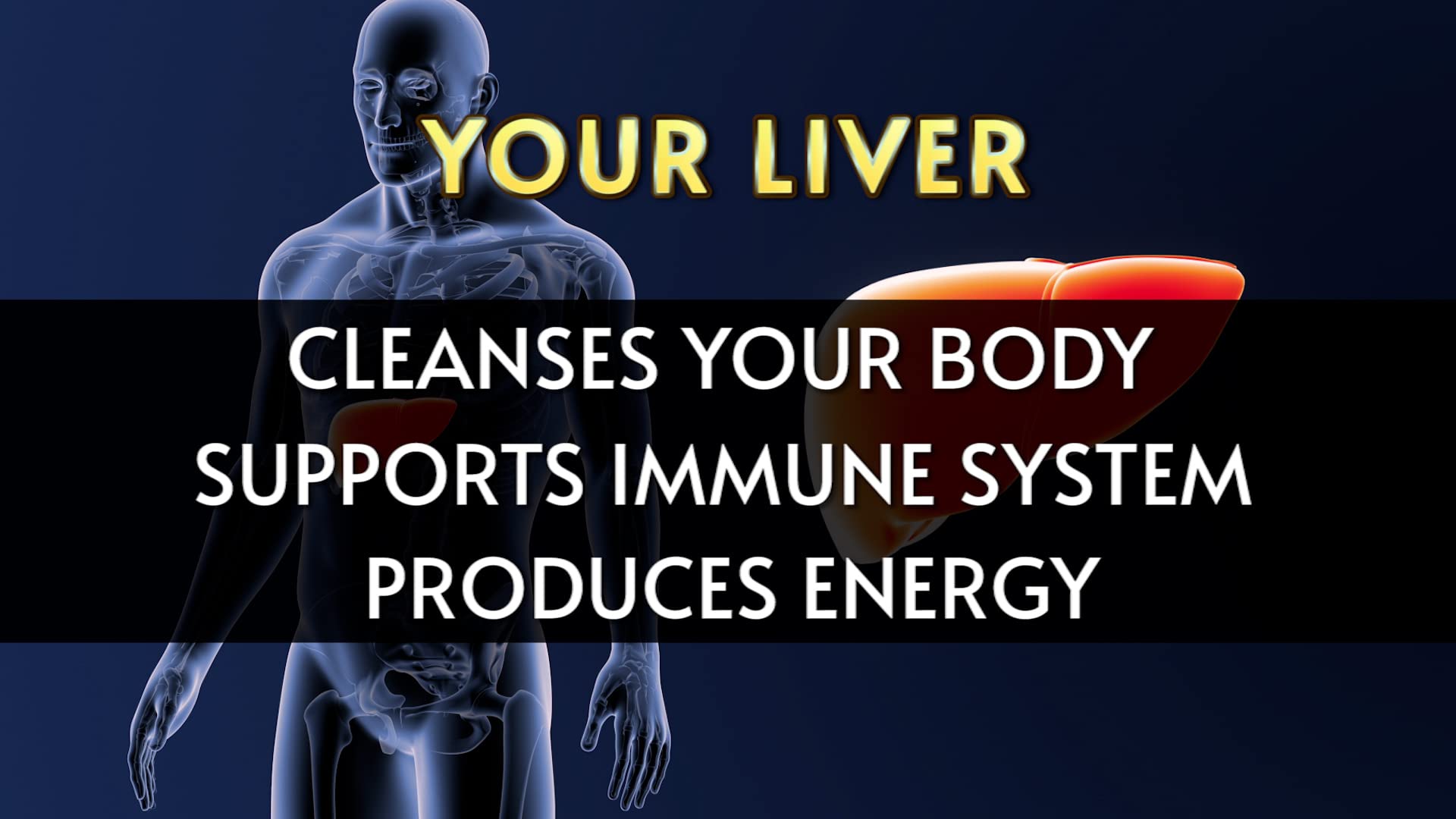 Liverite Liver Aid With Milk Thistle 150 Capsules, Liver Support, Liver Cleanse, Liver Care, Improves Energy