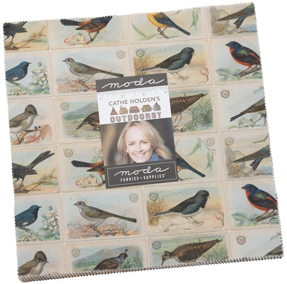 Outdoorsy Layer CakeĀ®, 42-10" Precut Fabric Quilt Squares by Cathe Holden