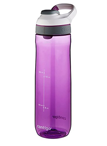 Contigo AUTOSEAL Cortland Water Bottle, 24 oz, Radiant Orchid