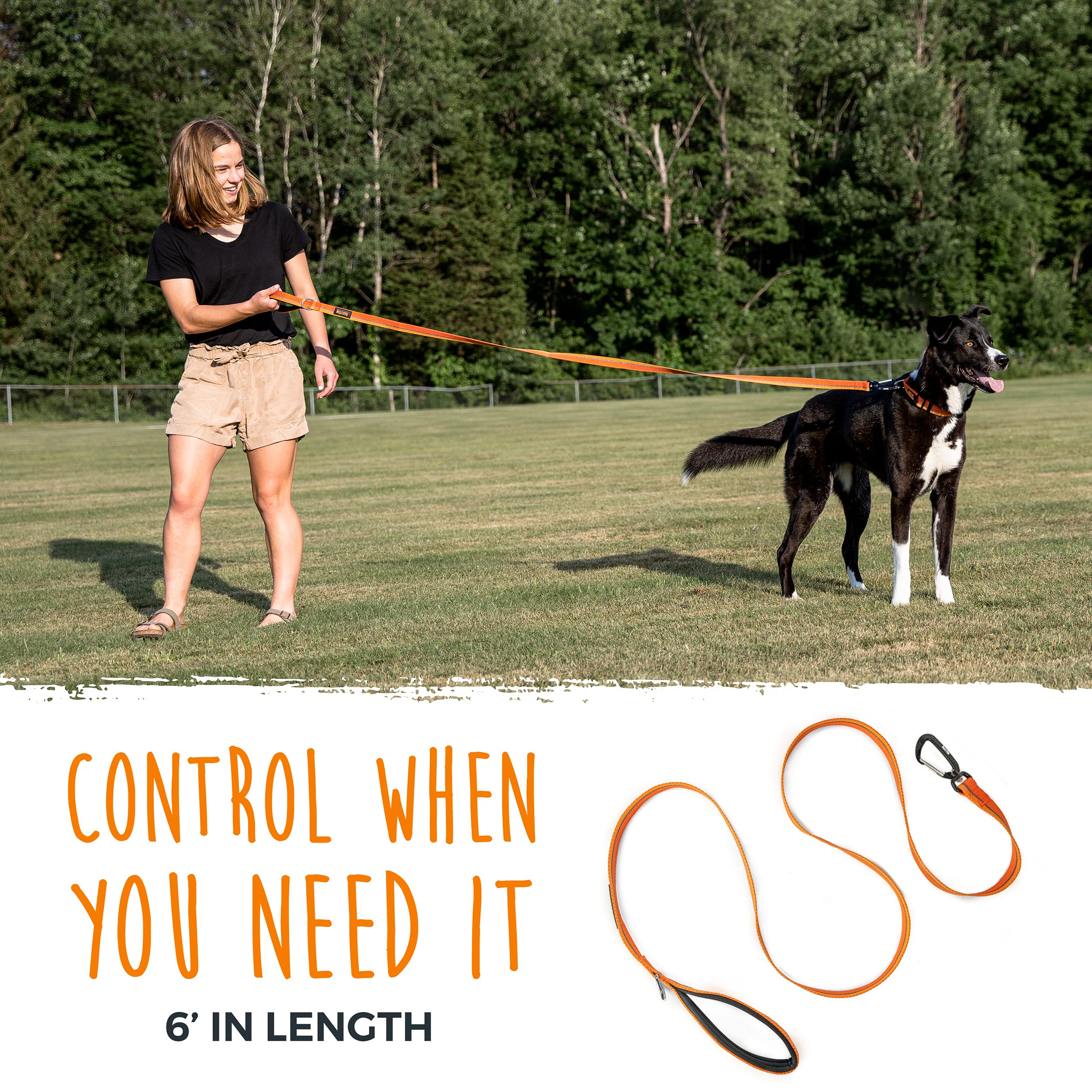 Mighty Paw Dog Leash - Soft Padded Handle - D-Ring and Pet Leash Clip - Carabiner Clip - Weatherproof with Reflective Stitching - 6 Foot Long Dog Leash for All Dog Breeds - Dog Walking Leash (Orange)