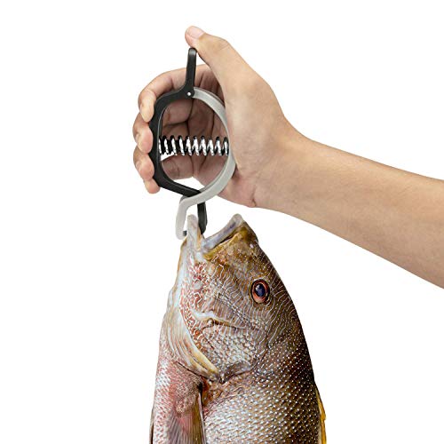 Digital Fish Scale Hanging Scale with Tape Measure,Temperature Display (° F/° C),Backlit LCD Display,110 lb/50 kg Portable Postal Scale,with Fish Lip Clip,Fishing Gifts for Men,Valentine's Day Gift…