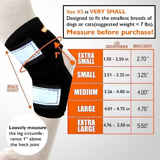 NeoAlly Super Supportive Dog Braces for Rear Leg and Hock Joint with Dual Metal Spring Strips Stabilize Canine hind Legs from Wound, Injury, Sprains, Arthritis (XL Pair)