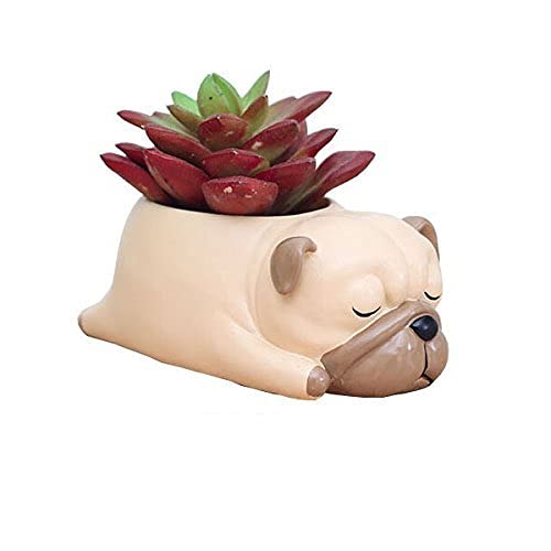 Succulent Pots,Cute Animal Pug Dog Shaped Air Plant Holder Flower Planters-Plants Not in Included