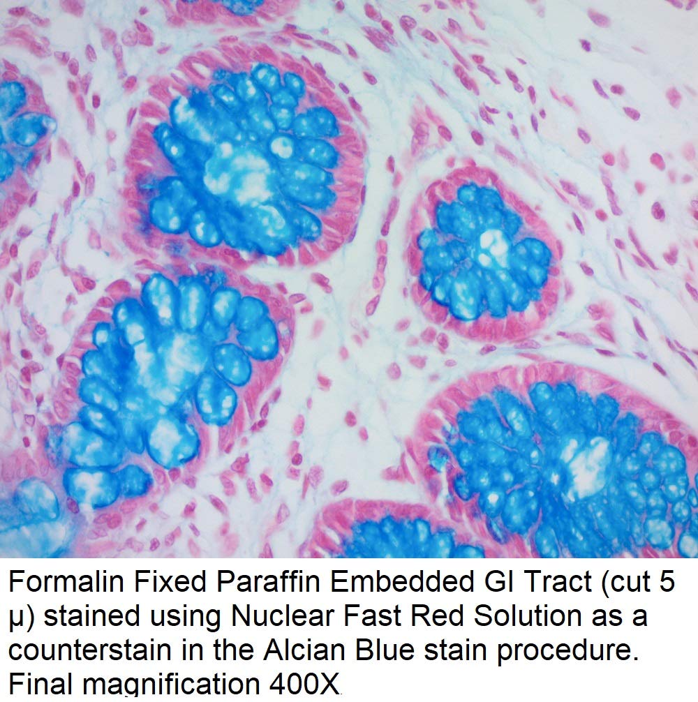 Nuclear Fast Red Solution, 1 Gallon