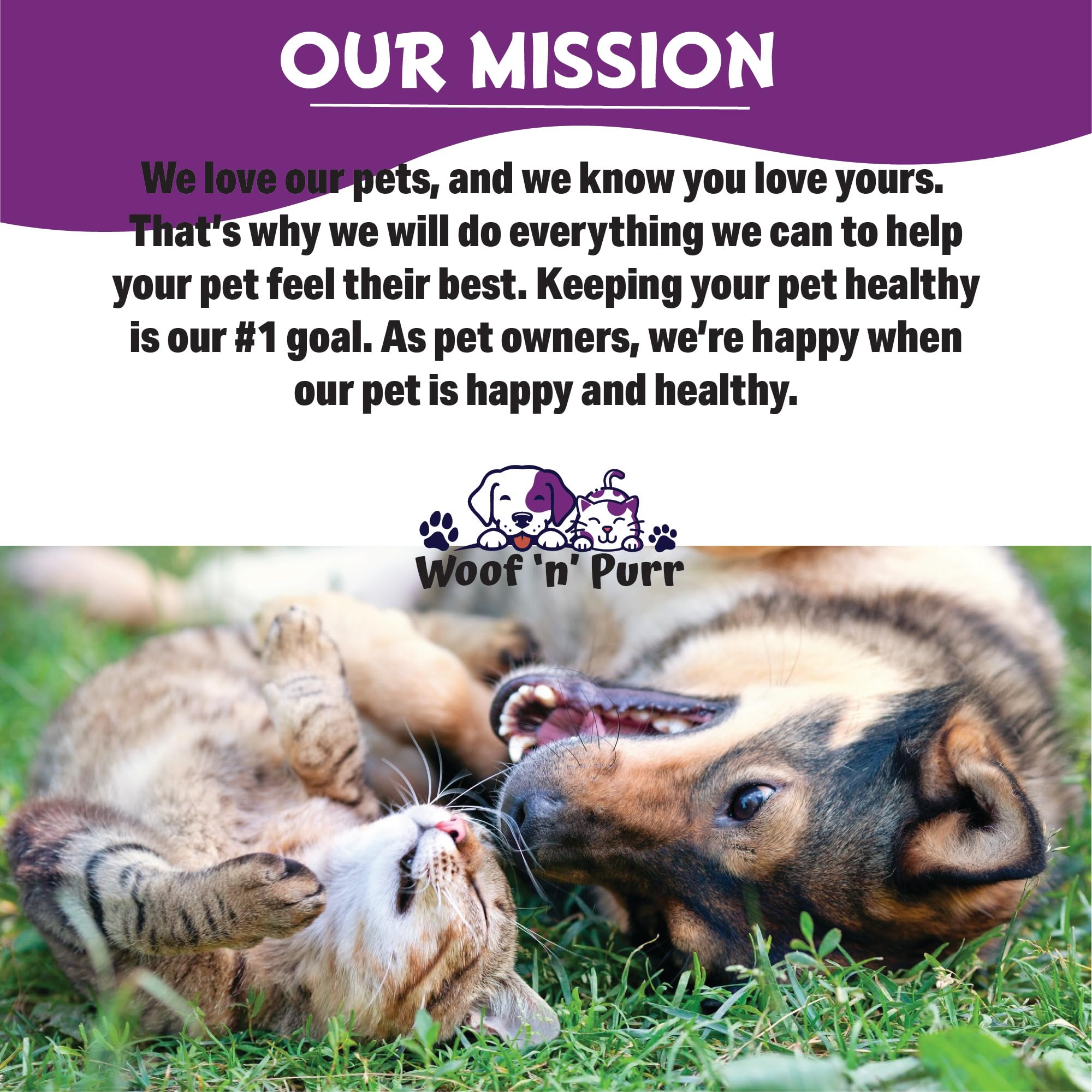 Melatonin for Cats | Supports Healthy, Restful Sleep for Your Cat | Cat Stress Relief | Cat Calming | Cat Anxiety Relief | Cat Melatonin | Anxiety Relief for Cats | Cat Sleep Aid | 1 fl oz