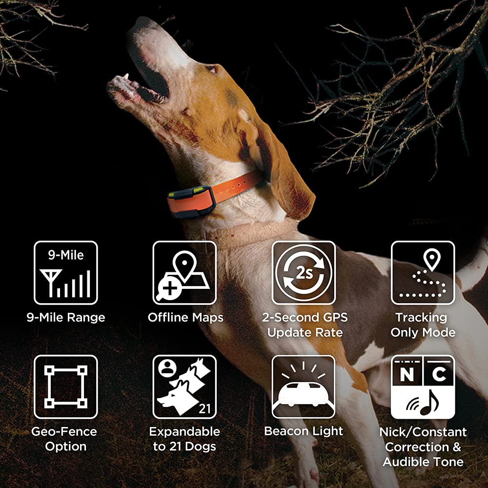 Dogtra Pathfinder SE GPS Tracking & Training E-Collar Special Edition LED Receiver 9-Mile 21-Dog Expandable Rechargeable Waterproof Compatible Smartphone Required with Wearable Carrying Holster