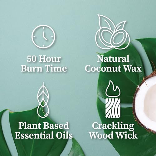 Hemlock Park Wood Wick Candle Handcrafted with Natural Coconut Wax and Essential Oils (Amber & Gold 7.2 oz, Pumpkin Crème)