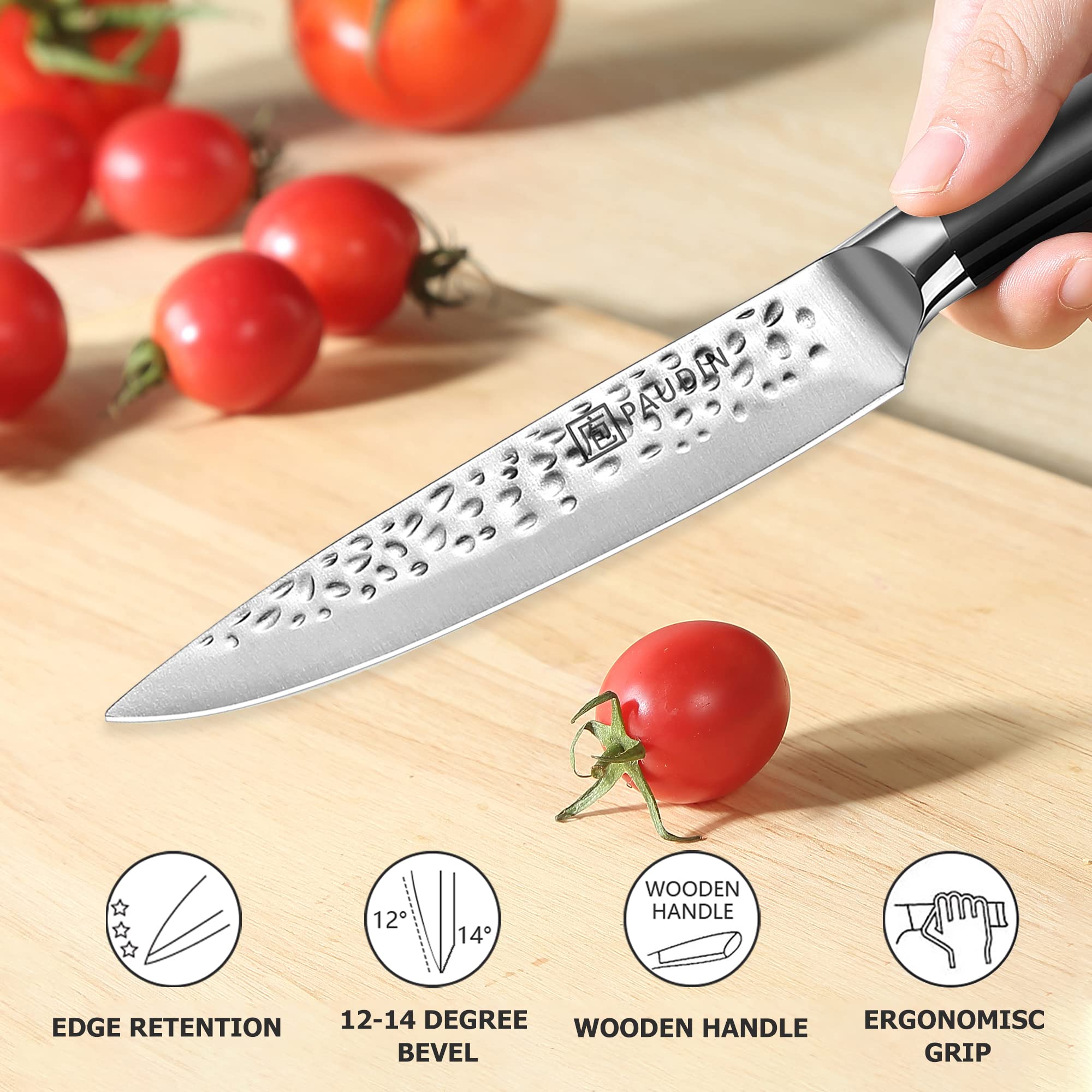PAUDIN Utility Knife Kitchen, Sharp Chef Knife 5 Inch Small, Paring Knife, High Carbon Stainless Steel Kitchen Utility Knife with ABS Handle, Small Kitchen Knife for Home and Restaurant
