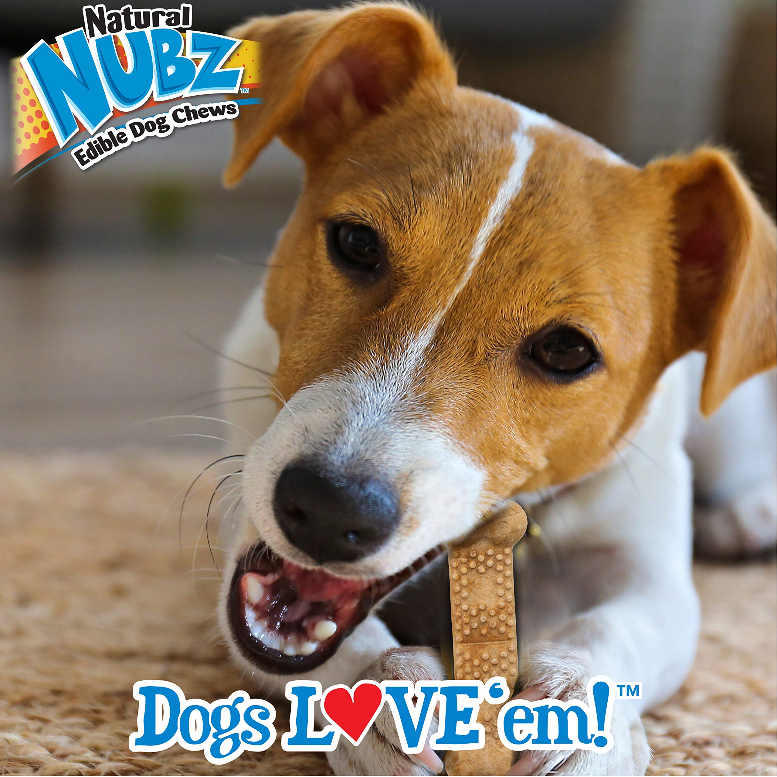 Nylabone Nubz Budz Natural Long Lasting Edible Dog Chews 20 Count Small - Up to 30 lbs.
