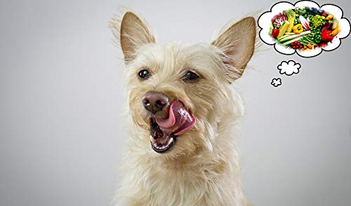 PET SUPPLEMENTS Urinary Tract Health for Dogs - Dog Total Health Complex - Eye Teeth Hair Joint Support - Advanced - Grapefruit Seed Extract for Dogs - 2 Bottles (120 Tablets)