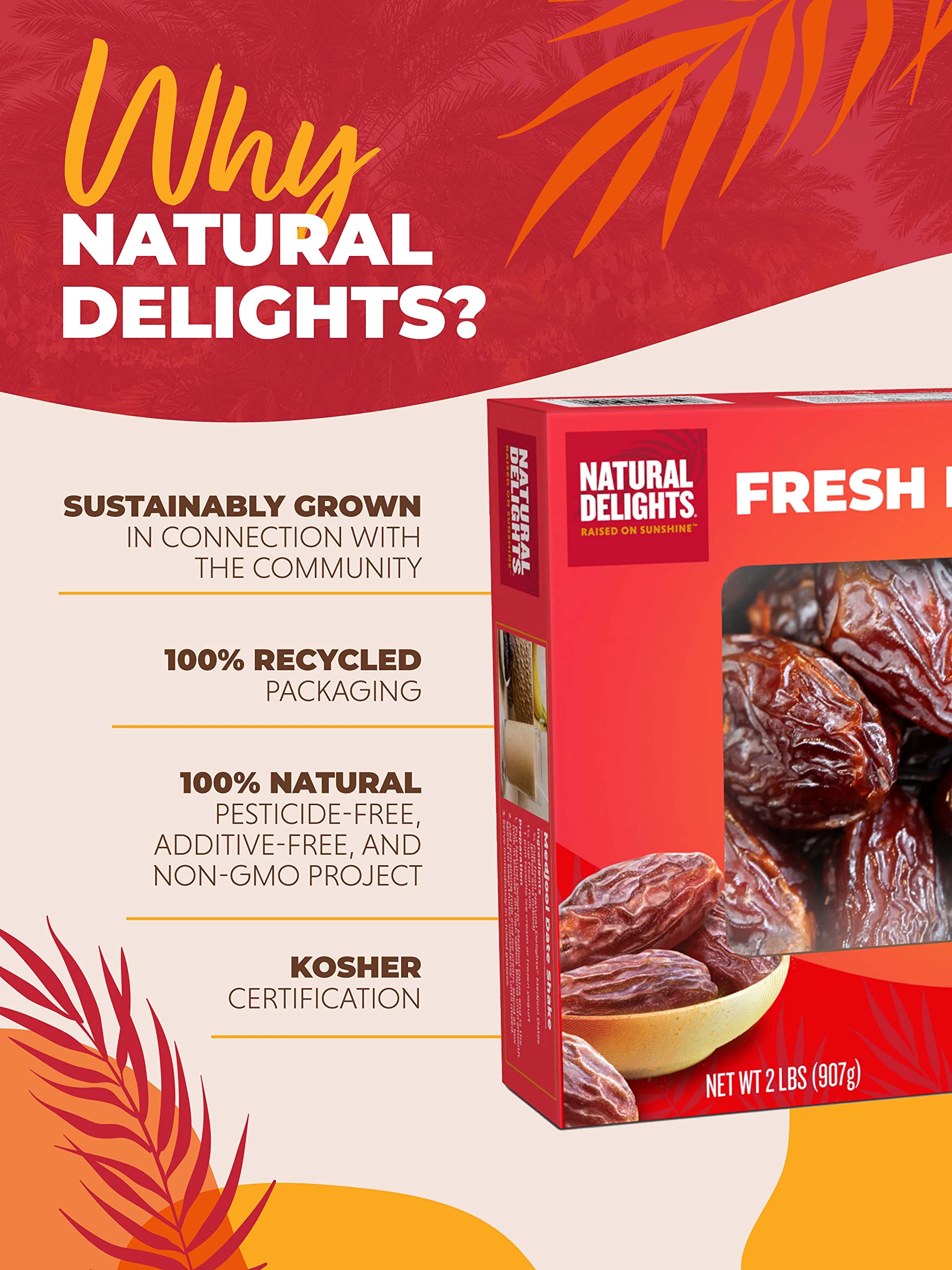 Natural Delights Dates – Large & Plump, Non-GMO Verified, Good Source of Fiber, Naturally Sweet Fruit Snack, Perfect for On-the-Go - Medjool Dates Whole, 2 lb Box