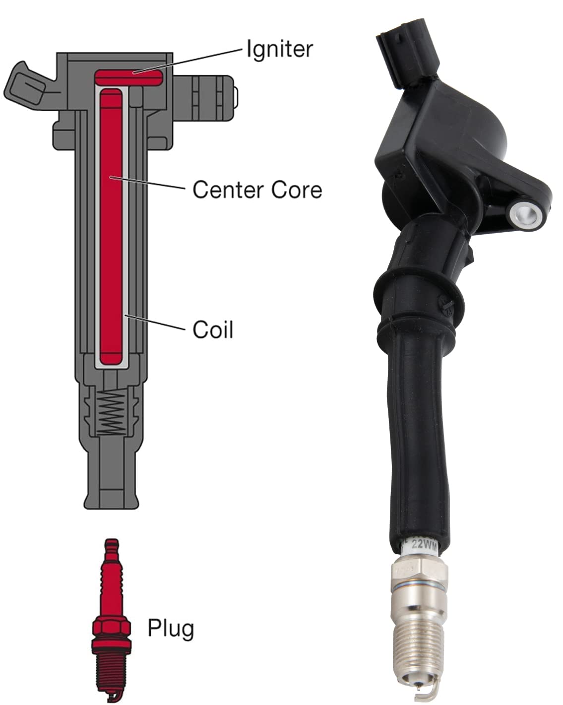 DG508 Ignition Coil Pack & SP479 Spark Plugs compatible with Ford 5.4L V8 F-150 E-150 E-150 E-350 E-450 EXPEDITION EXCURSION MERCURY EXPLORER F-250 F350 SUPER DUTY Set of 8