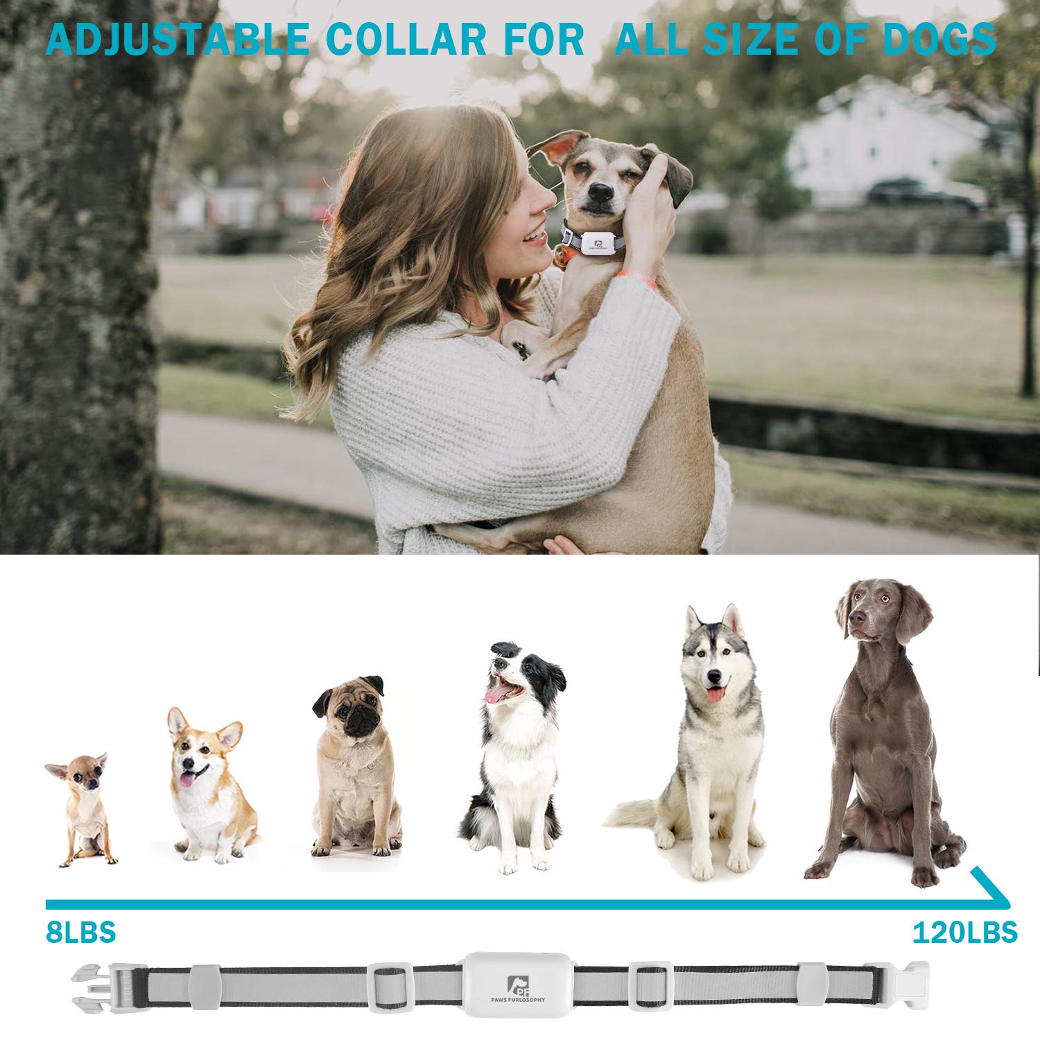 Paws Furlosophy Dog Training Collar with Remote, No Shock Collar for Dogs, 1000ft Remote Control Dog E Collar,3 Training Modes, Suitable for Small, Medium, Large Dogs, IPX7 Waterproof