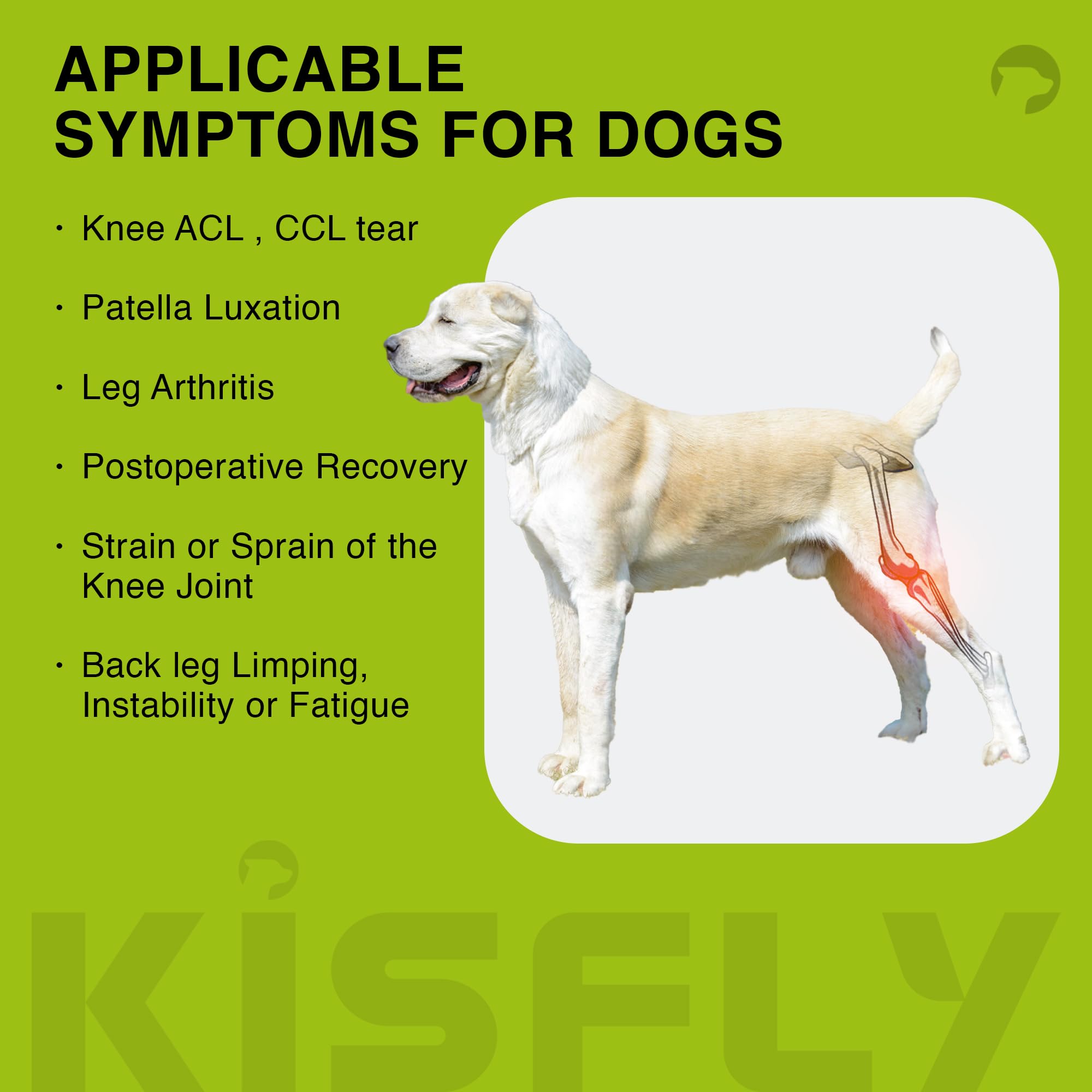 KISFLY Dog Knee Brace for Torn ACL Hind Leg Luxating Patella Dysplasia Arthritis Joint Pain Dog Leg Brace with Metal Hinged Support for Better Recovery Both Leg M