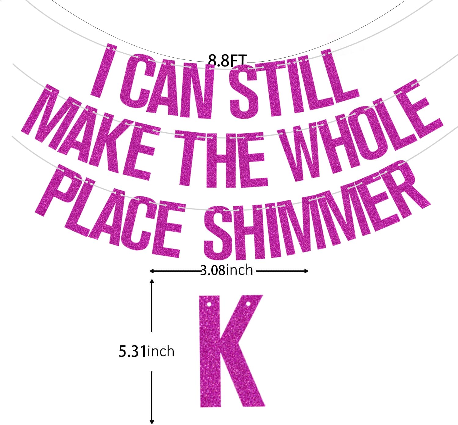 I Can Still Make the Whole Place Shimmer Banner, Disco Taylor Singer Party Decorations, Hot Pink Disco Birthday Party Decorations
