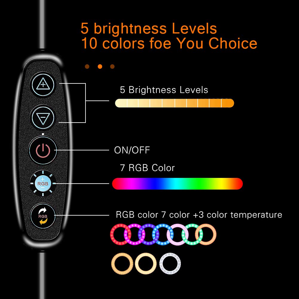 EEIEER 12" RGB Ring Light with Stand, video conference lighting, Dimmable Circle Light, Flash Light with Cell Phone Holder Desktop for Live Stream/Makeup/Video/Photography