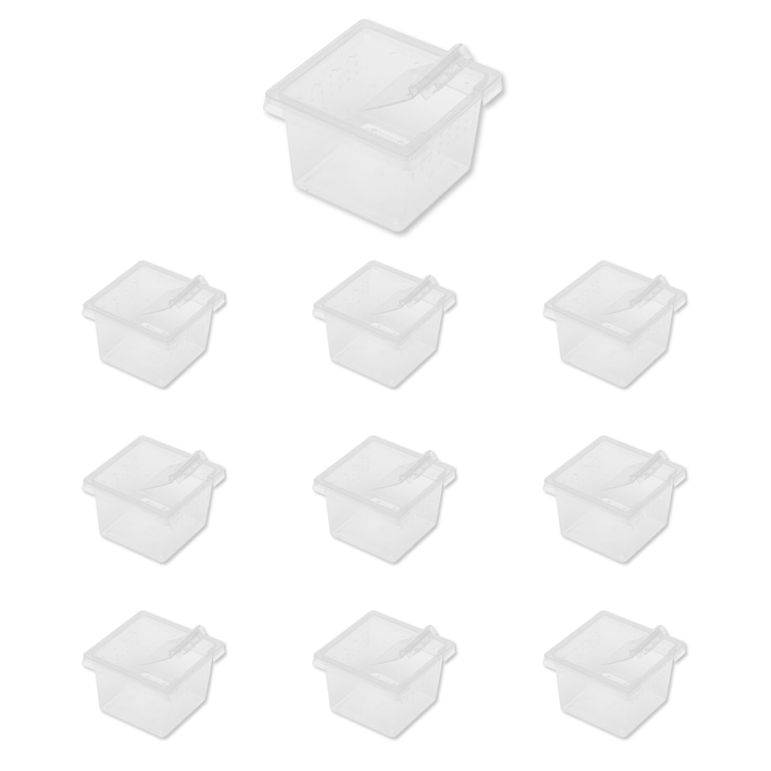 Jungle Bob - Clear Plastic Reptile Terrarium Box - Easy Pet Transportation - Enclosure for Small Herps - Side Ventilation - Clear View - Fade Resistant - Glossy Finish - Small - 7.5" x 5" x 3"