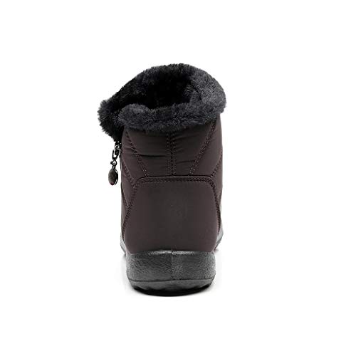 FASDNENDYS Botas Boots Ankle Shoes Warm Women's Short Winter Snow Nylon Cotton Slip in Winter Boots for Women