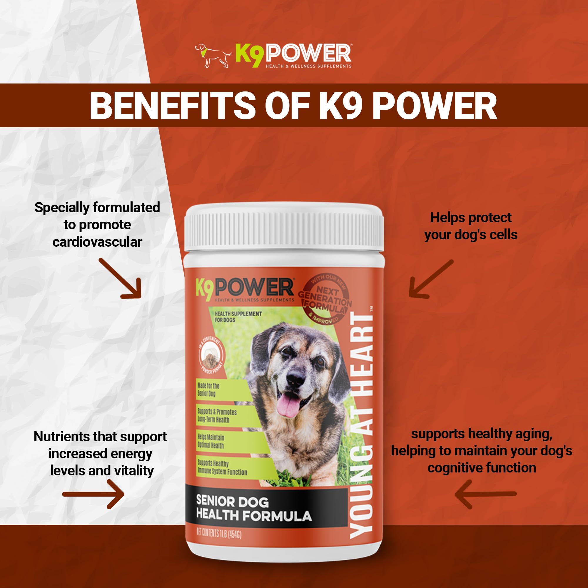 K9 Power Young at Heart Senior Dog Multivitamin 1 lb β Advanced Supplement for Seniors β Supports Brain, Heart, Vision, Joint Health, and Mobility