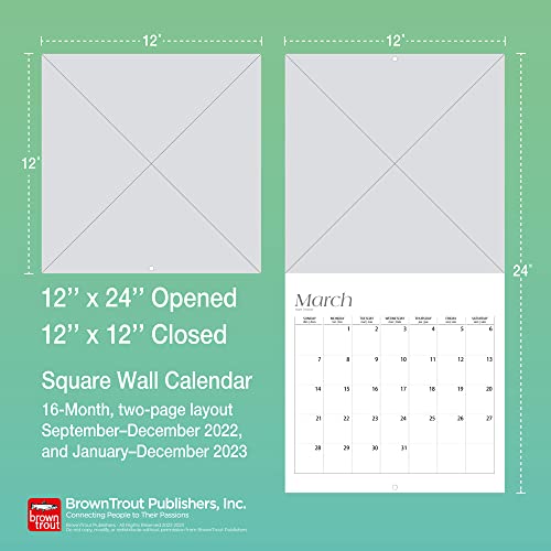 Cat Selfies | 2023 12 x 24 Inch Monthly Square Wall Calendar | BrownTrout | Pet Humor Kitten Feline
