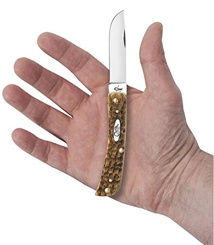 Personalized Case Amber Bone Peach Seed Jig Sod Buster Jr Pocket Knife with Free Text Laser Engraving
