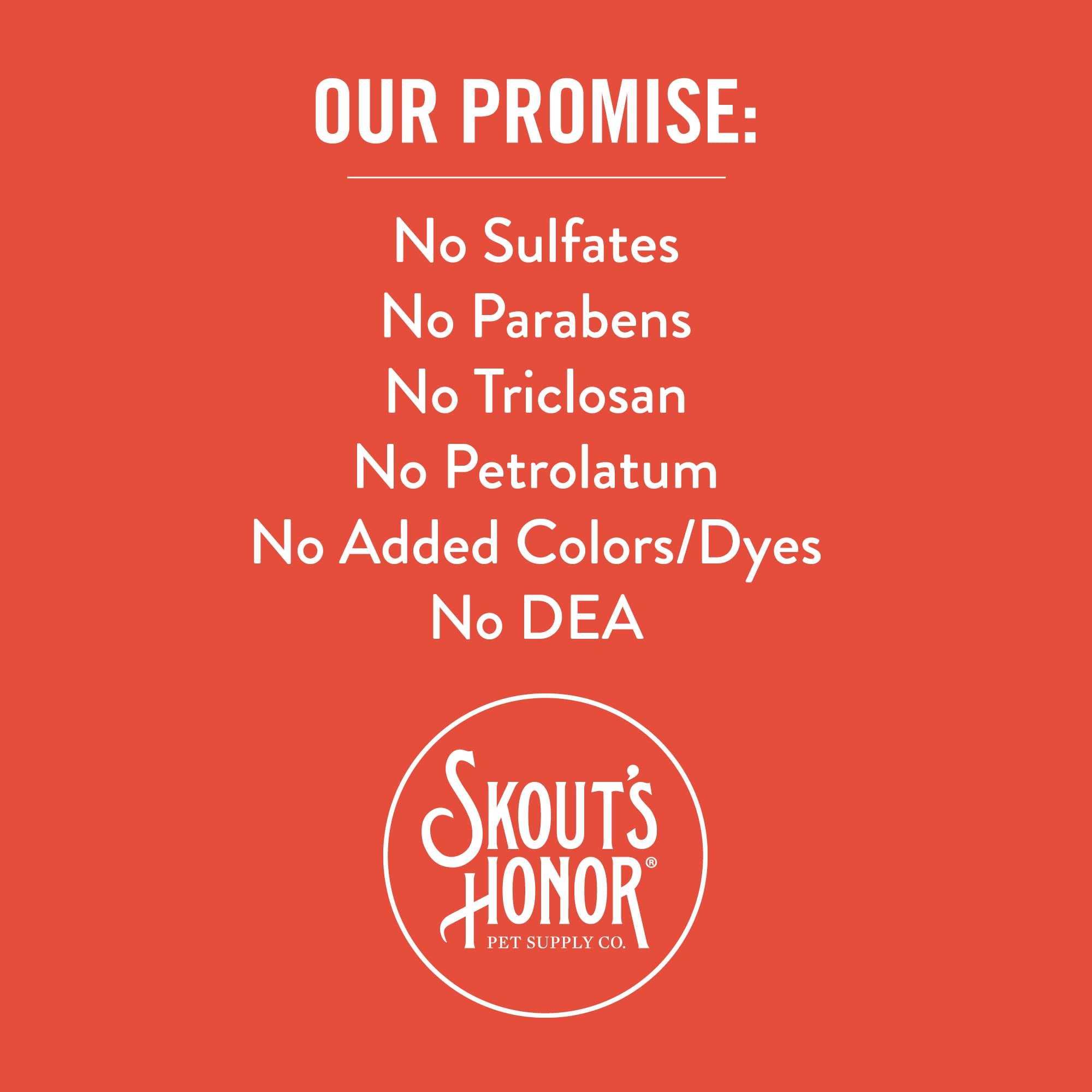 SKOUT'S HONOR Probiotic Itch Relief Spray for Pets - Non-Medicated, Fragrance-Free, Natural, Vegan, Long-Lasting Relief, with Soothing Oatmeal, 8 oz