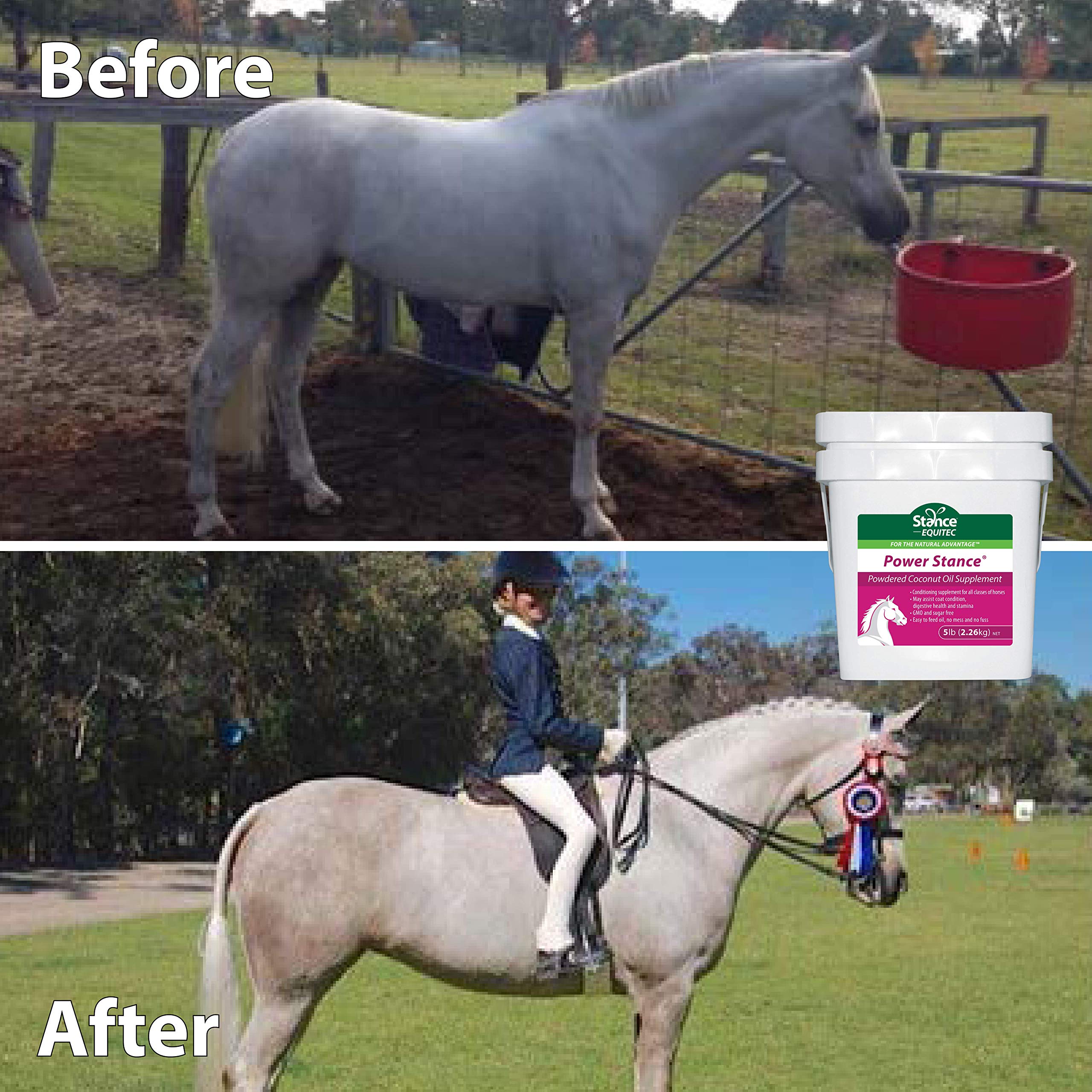 Power Stance Powdered Coconut Oil Horse Supplement - May Support Coat Condition, Digestive Health and Stamina, GMO & Sugar Free - 5 lb