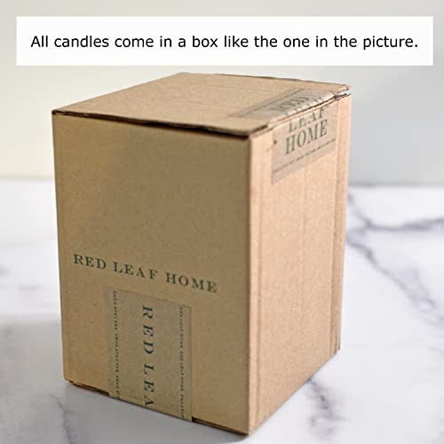Red Leaf Home Provence Lavender Candle - Naturals Collection, Large - 15.5 Ounce Jar