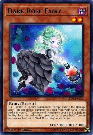 Yu-Gi-Oh! - Dark Rose Fairy - LED4-EN024 - Legendary Duelists: Sisters of The Rose - 1st Edition - Rare